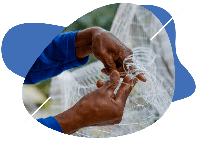 Pro Malla - Pro Malla